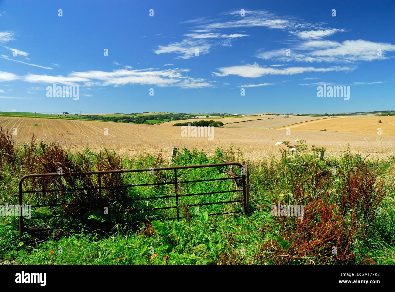 A rural gateway on a summer's day in the English countryside Stock ...
