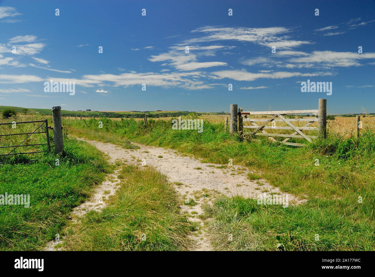 A rural gateway on a summer's day in the English countryside Stock ...