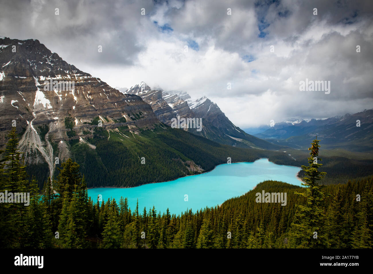 Beautiful Peyto Lake in Banff National Park Stock Photo - Alamy
