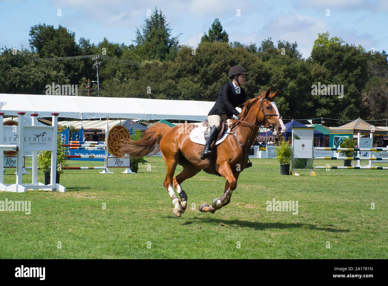 Horse Show Competition Stock Photo - Alamy
