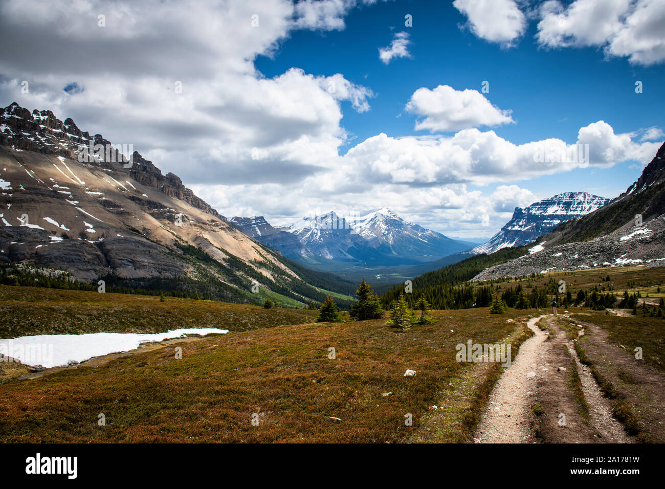Magnificent landscape and summits, in Banff National Park, Alberta ...