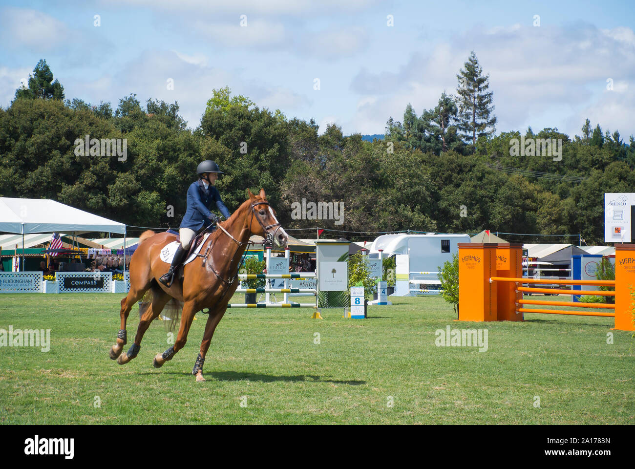 Horse Show Competition Stock Photo - Alamy