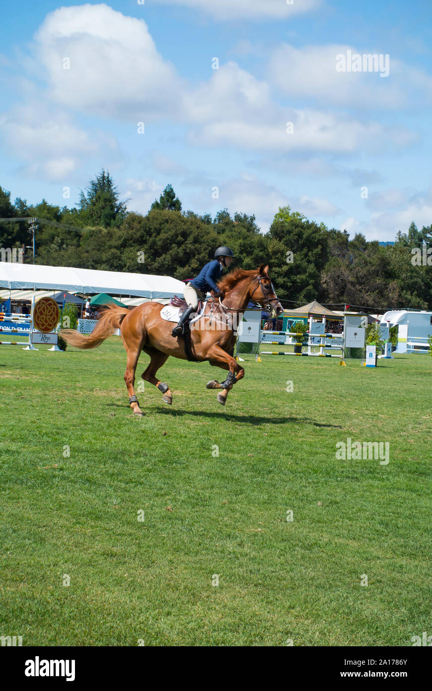 Horse Show Competition Stock Photo - Alamy
