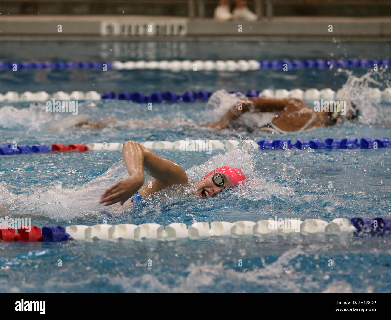 Female Swimmers Swimmer High Resolution Stock Photography and Images ...
