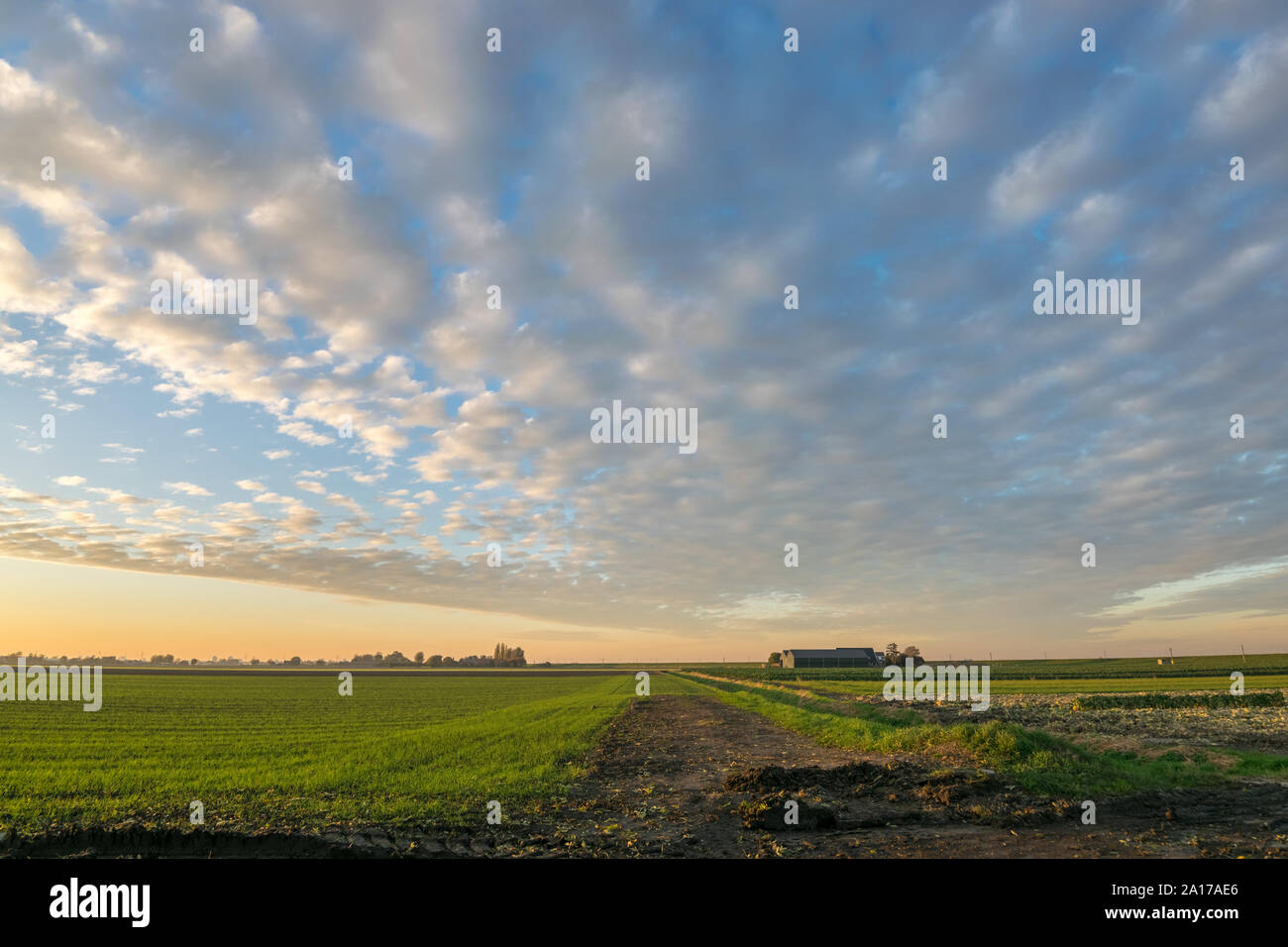 Wide open countryside with beautiful clouds at sunset near Gouda ...