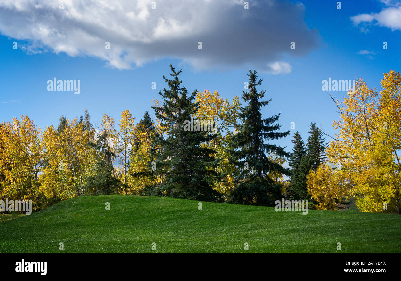 Bowmont Park Calgary Alberta Canada Stock Photo - Alamy