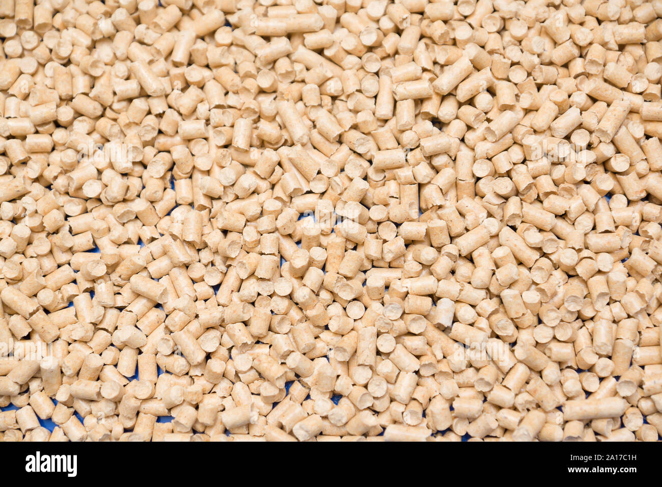 granular animal litter covers the bottom of the container Stock Photo ...
