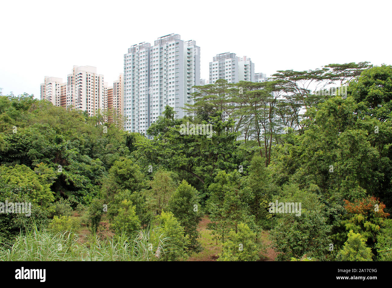 skyline and forest in singapore Stock Photo - Alamy