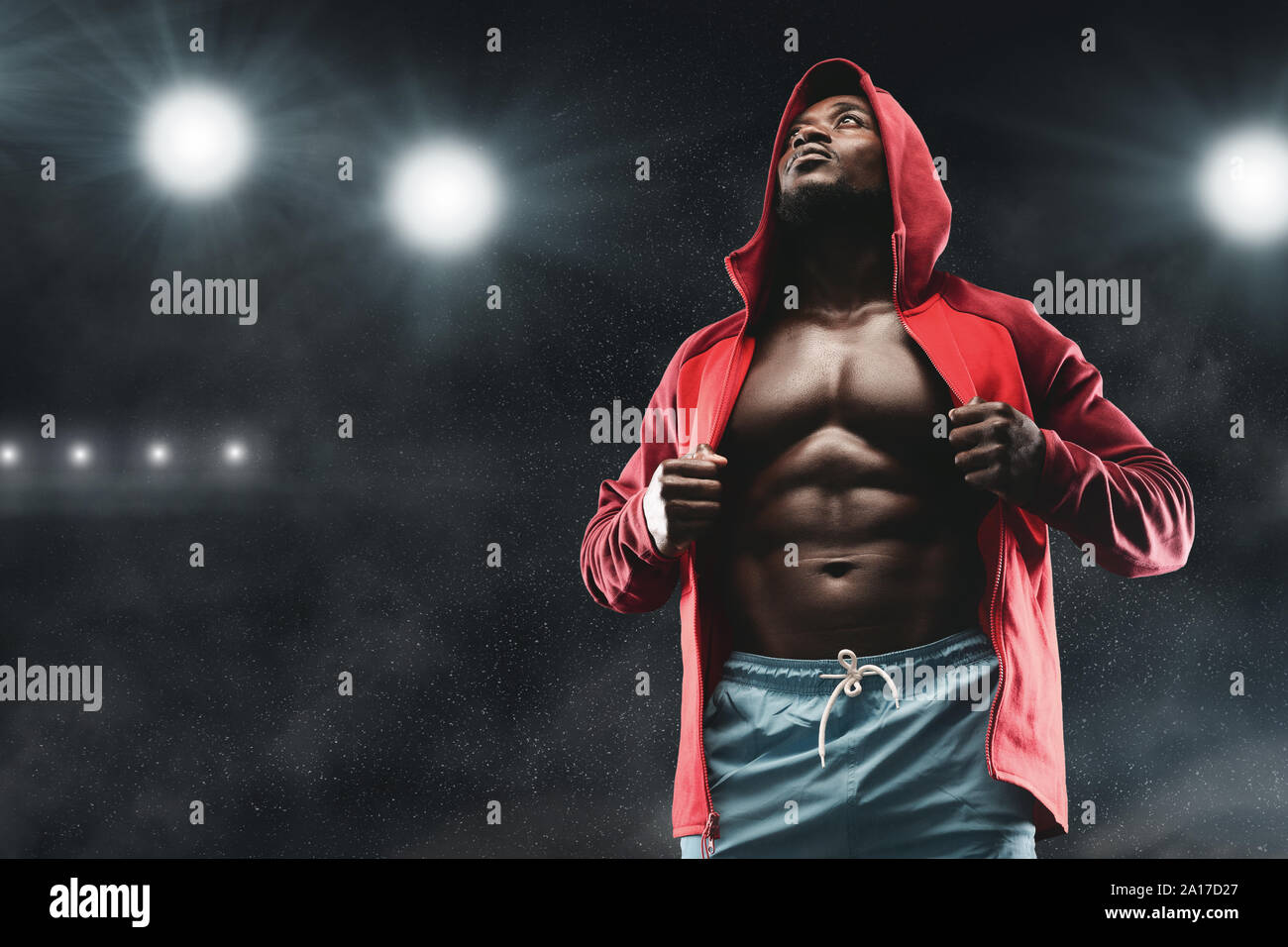 Professional fighter hi-res stock photography and images - Alamy