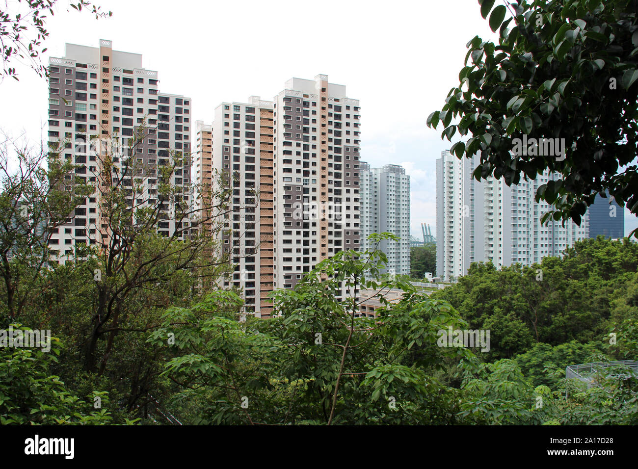 skyline and forest in singapore Stock Photo - Alamy