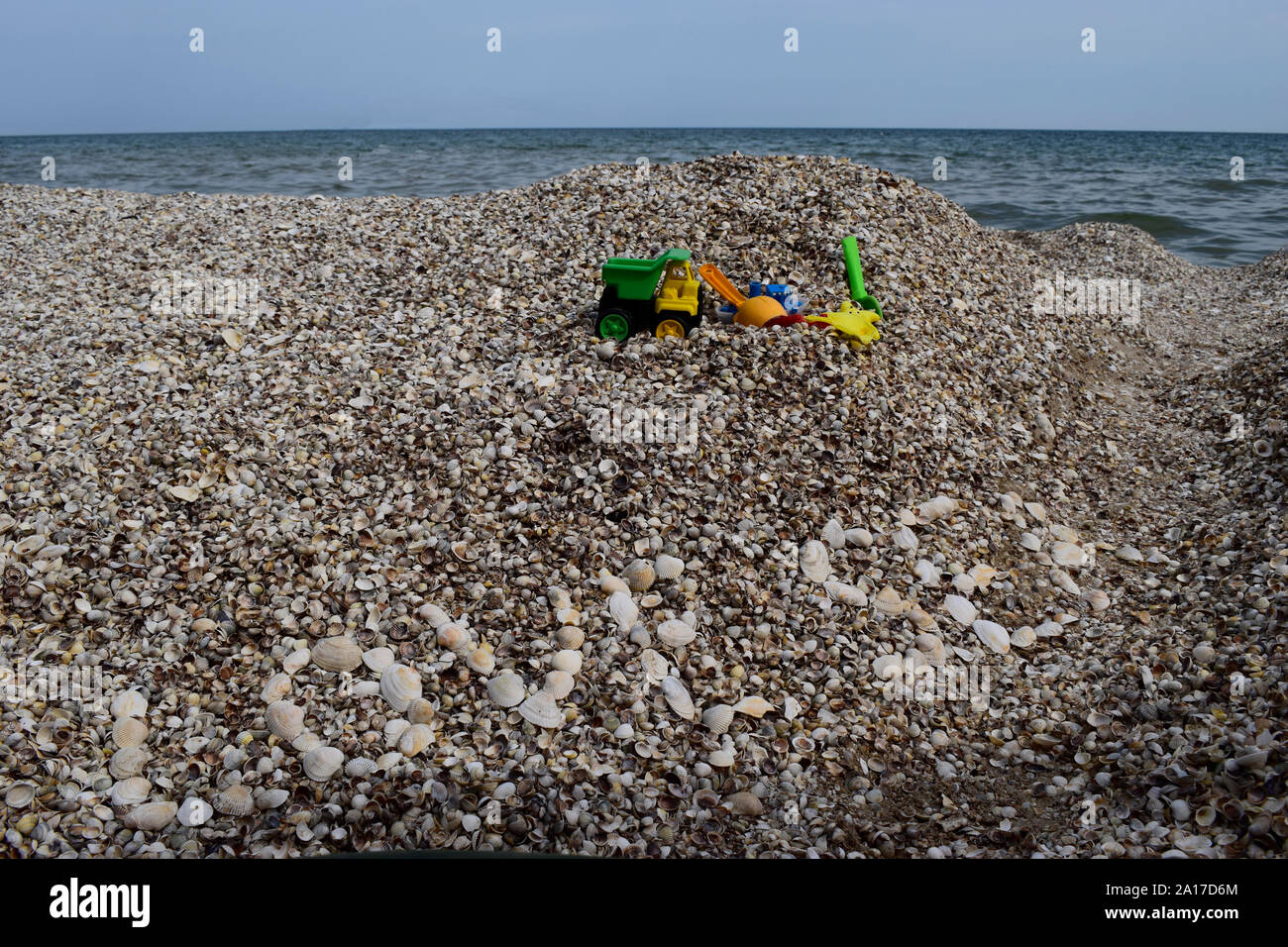 Seashell shell shells shellfish diving hi-res stock photography and ...