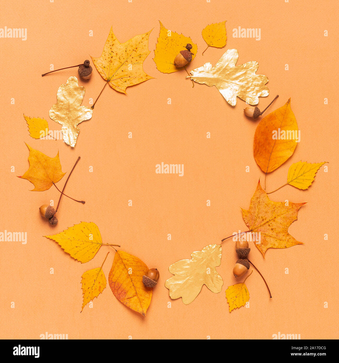 Autumn leaves on a pastel background, copy space Stock Photo - Alamy