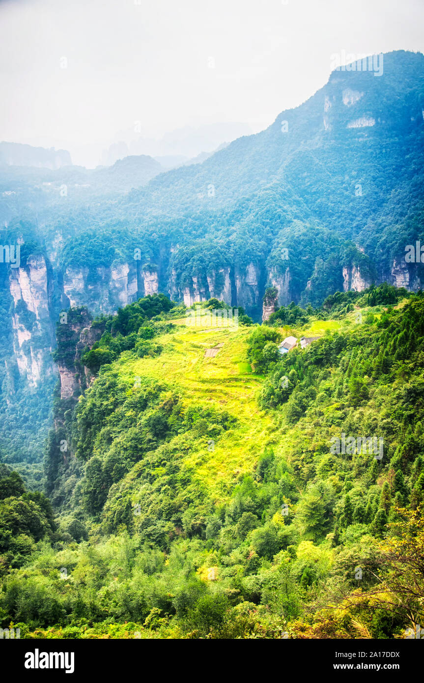 A small terraced farm within the geopark and zhangjiajie forest park in ...