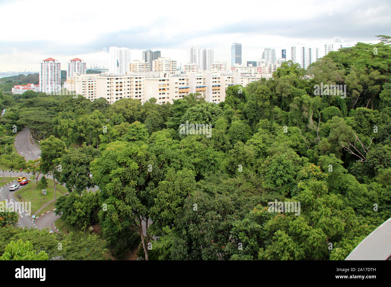 skyline and forest in singapore Stock Photo - Alamy