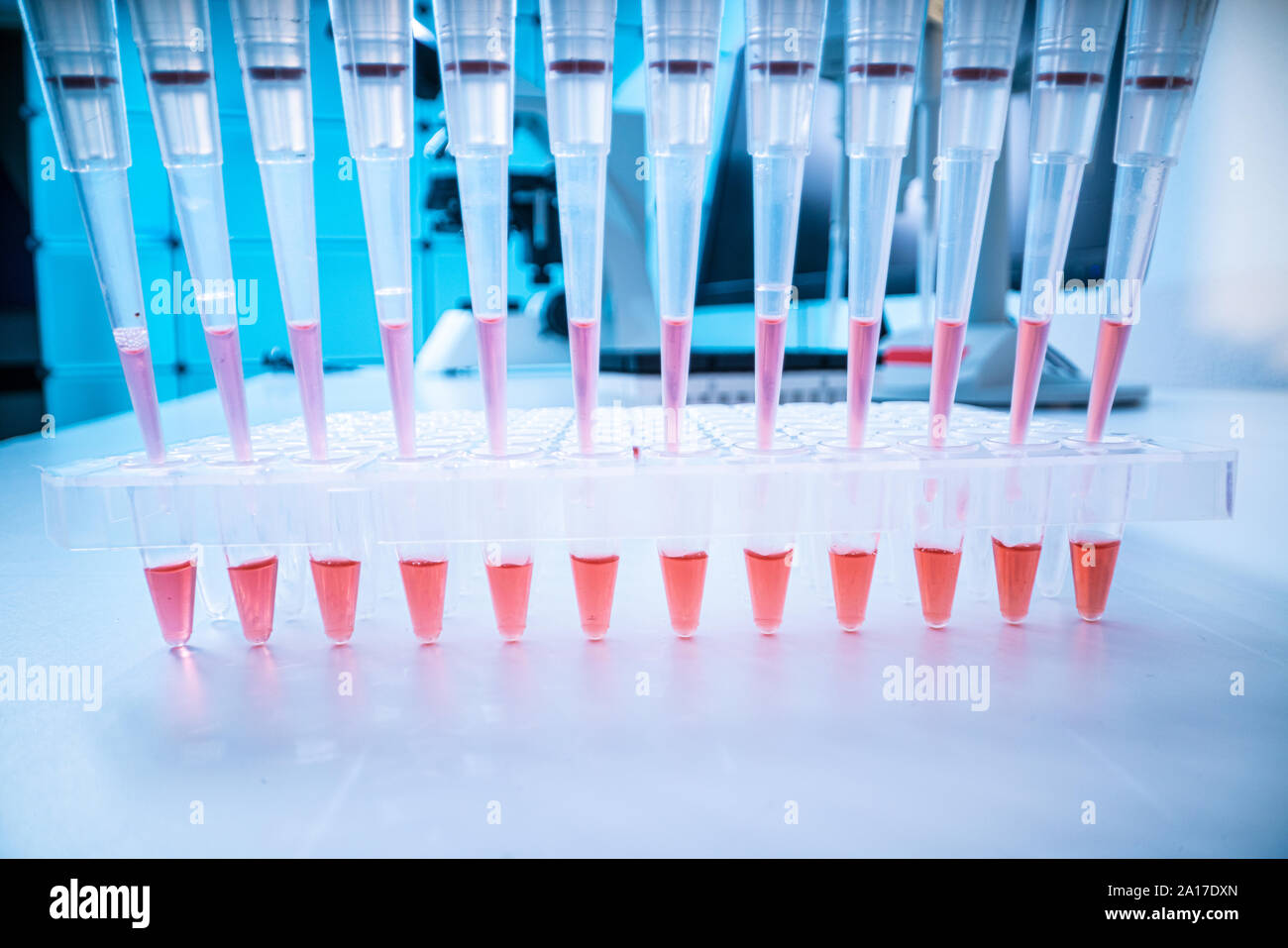 sample of biological sample for DNA analysis Stock Photo - Alamy