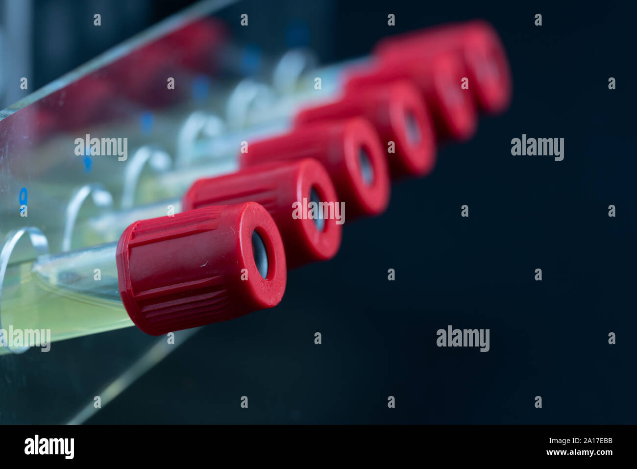 Test tubes with chemical samples in science laboratory Stock Photo - Alamy
