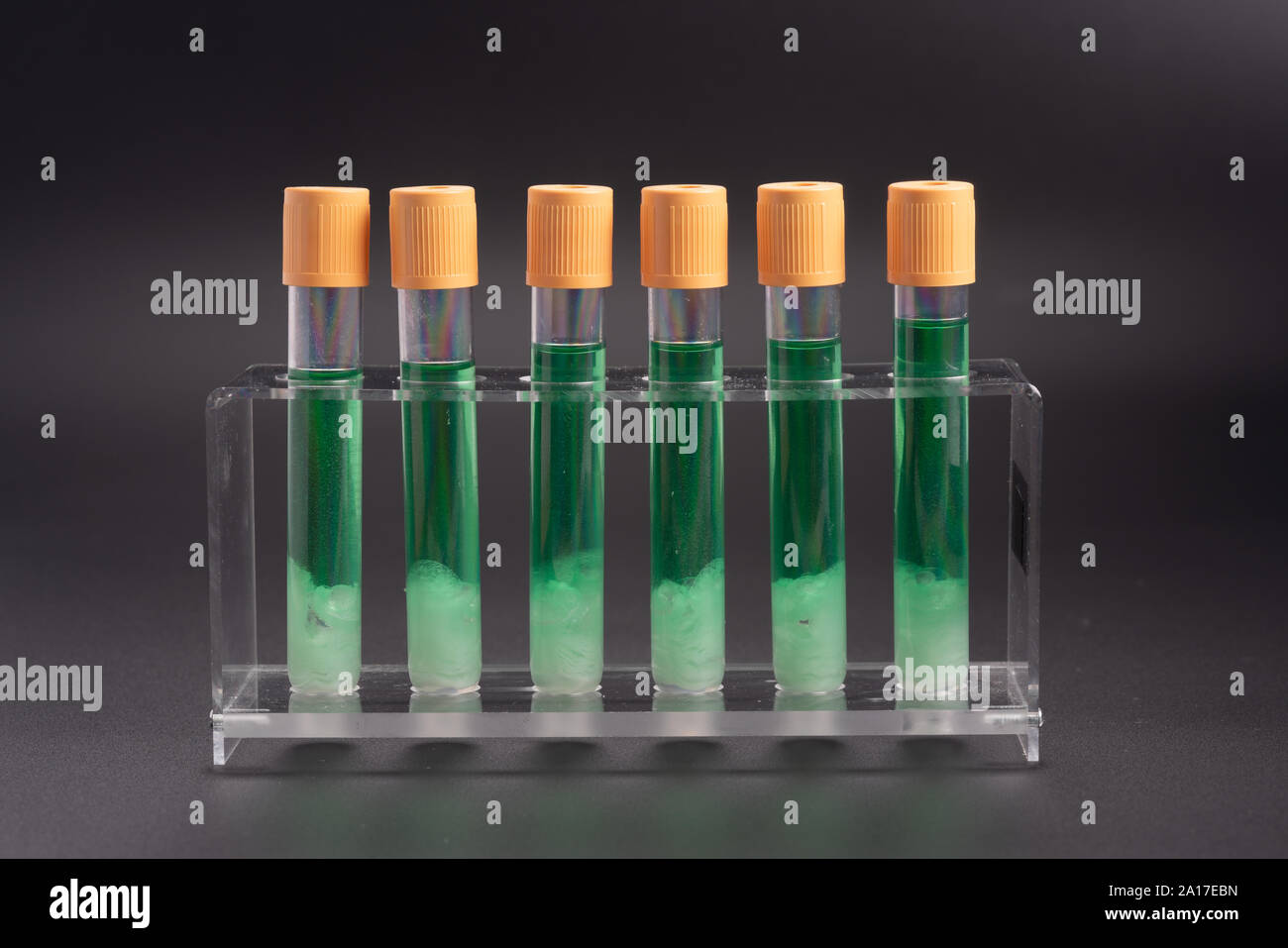 Test tubes with chemical samples in science laboratory Stock Photo - Alamy