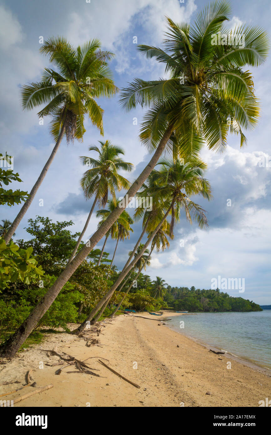 Wonderful beaches on Mindanao in the Philippines Stock Photo - Alamy