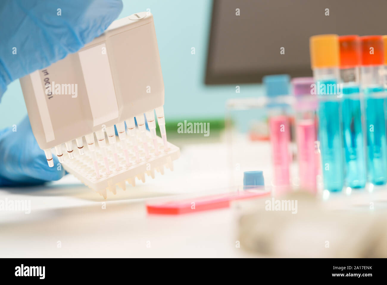 scientific experiment in microbiology laboratory. pipetting genetic materials Stock Photo - Alamy