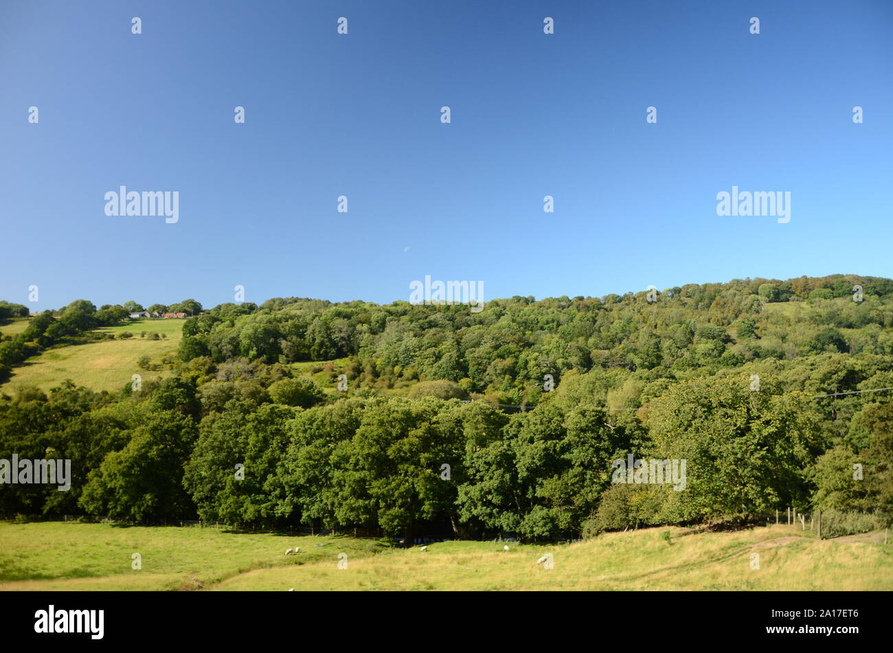 Beck hole railway hi-res stock photography and images - Alamy