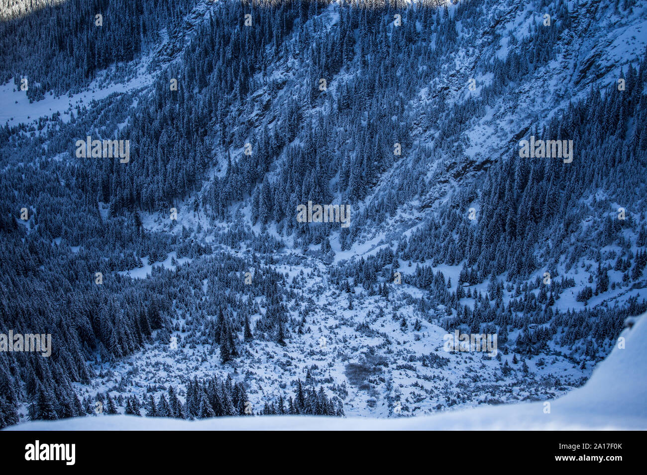 Conifer tree snow valley blue sky sun mountains landscape hi-res stock ...