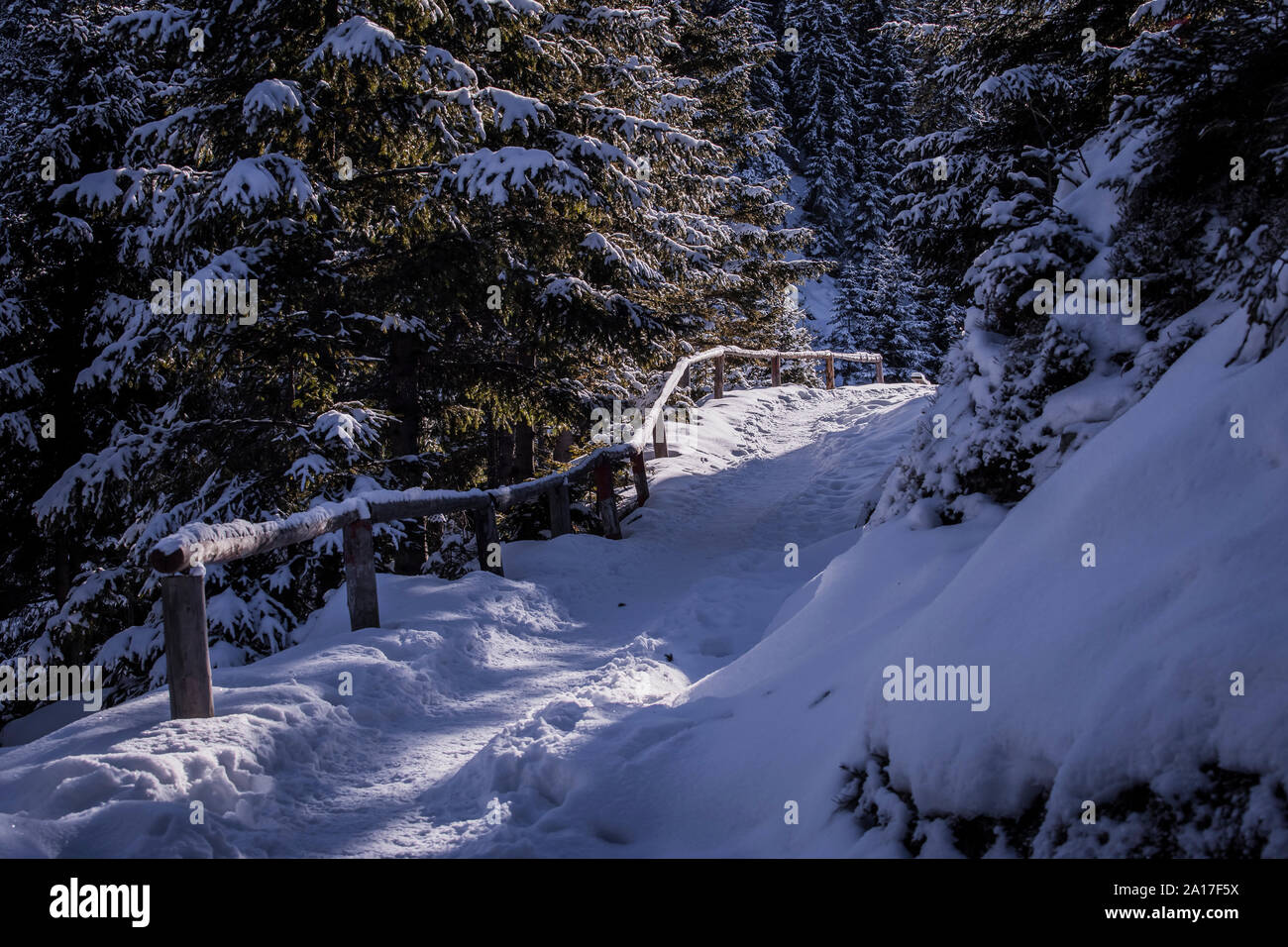 Sun lit snow hi-res stock photography and images - Alamy