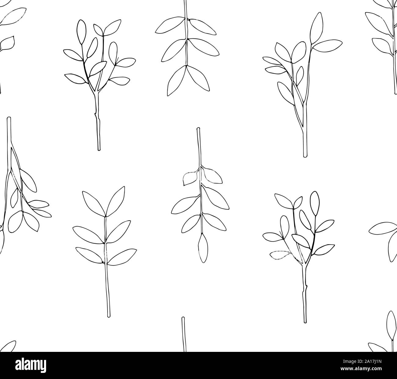 Vector seamless botanical pattern with hand drawn herbs isolated on ...
