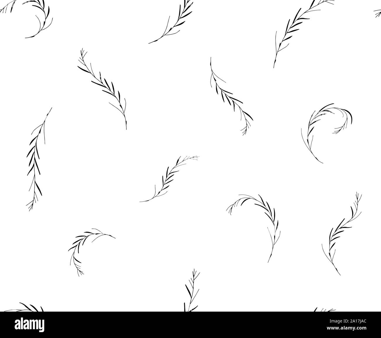 Vector seamless botanical pattern with hand drawn herbs isolated on ...