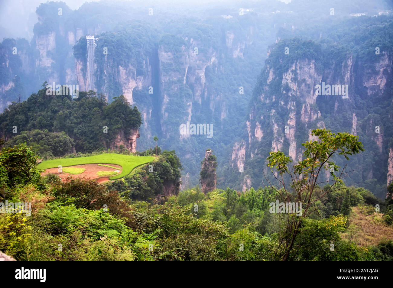 The landmark elevator and a farm within the geopark and zhangjiajie ...