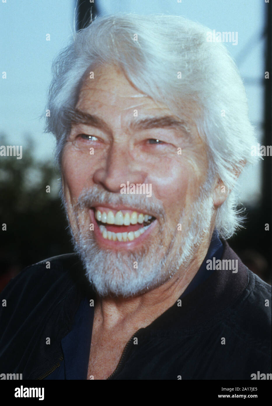James Coburn, 1994, Photo By Michael Ferguson/PHOTOlink Stock Photo - Alamy