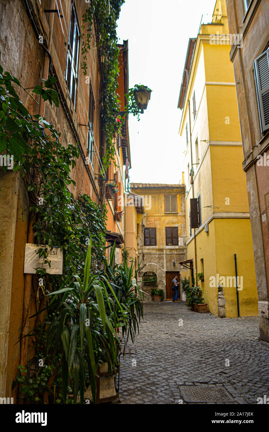 Cozy street in hi-res stock photography and images - Alamy