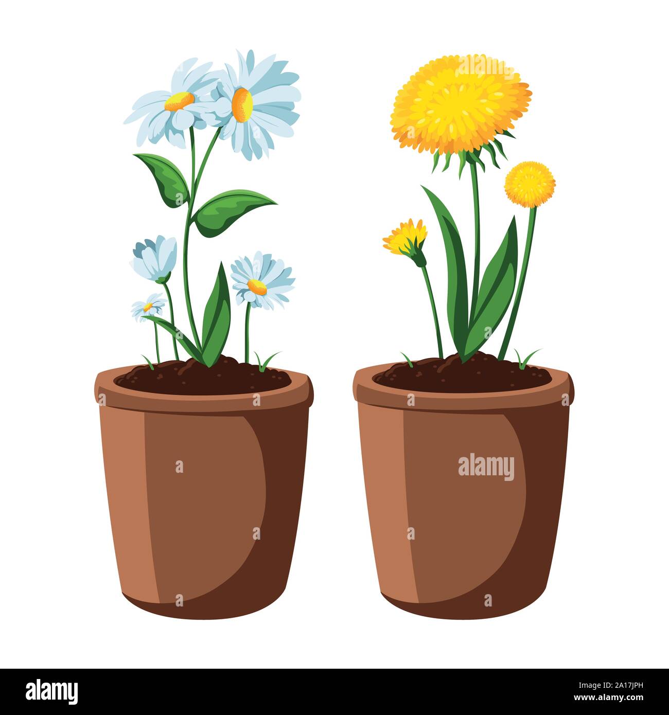 patch of houseplant in pot vector illustration design Stock Vector ...