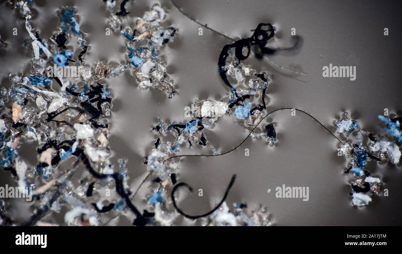 Plastic gets into water basin and gradually destroyed by waves and sun ...