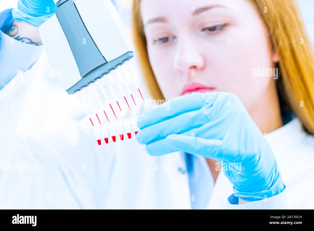 Girl lab technician at the clinic's microbiology laboratory Stock Photo ...