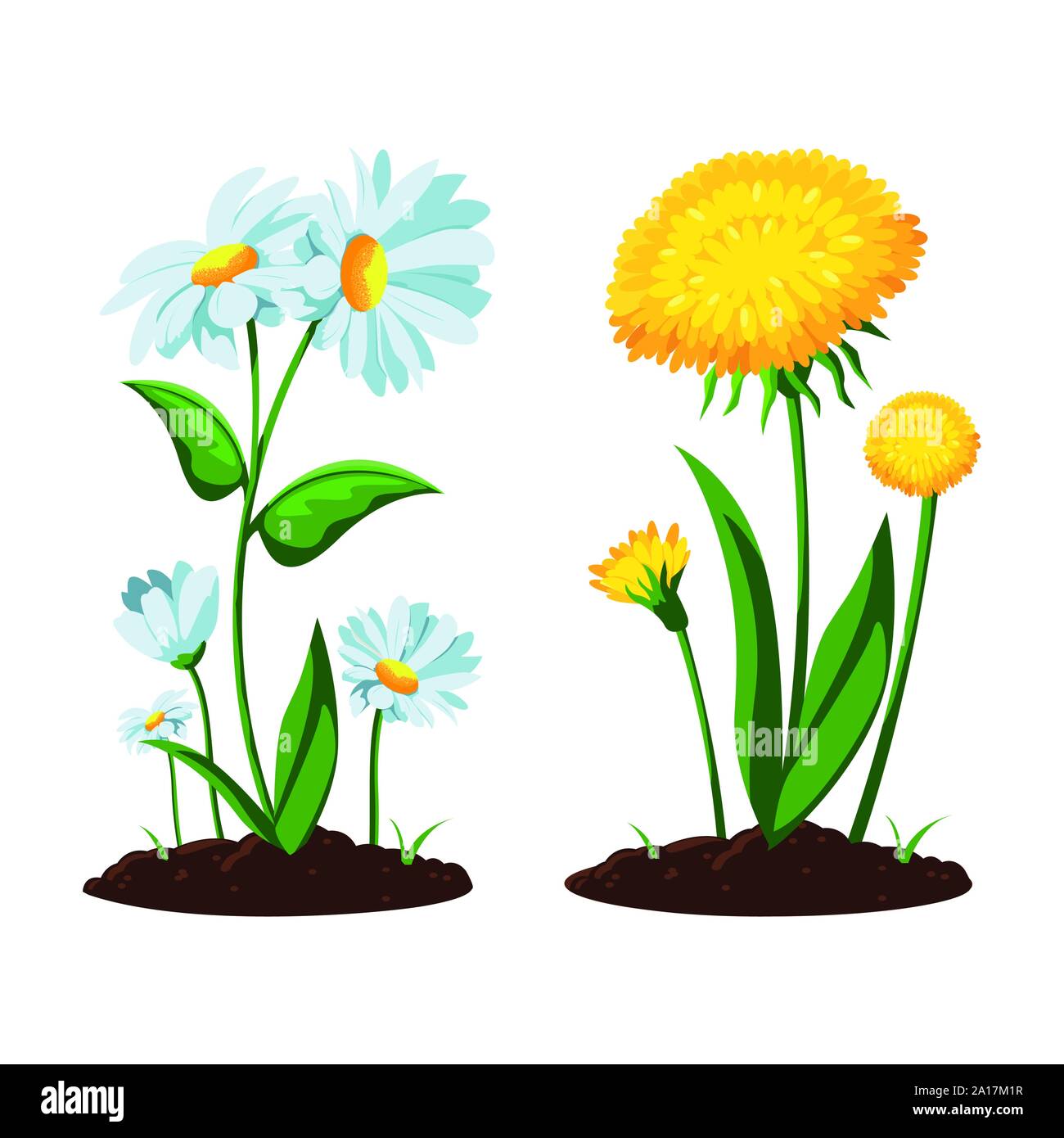 patch of houseplant in pot vector illustration design Stock Vector ...