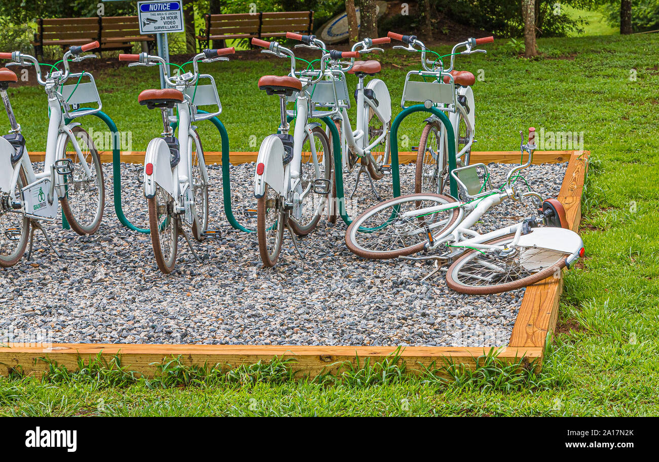 Walking down path steps hi-res stock photography and images - Alamy