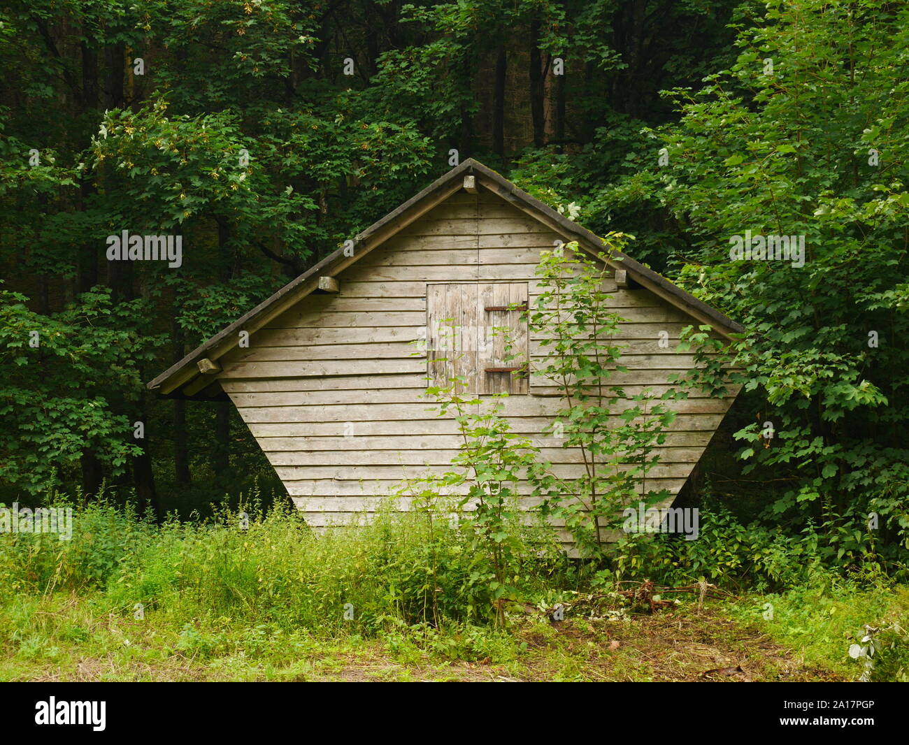 Wooden hut trees in forest architecture hi-res stock photography and ...