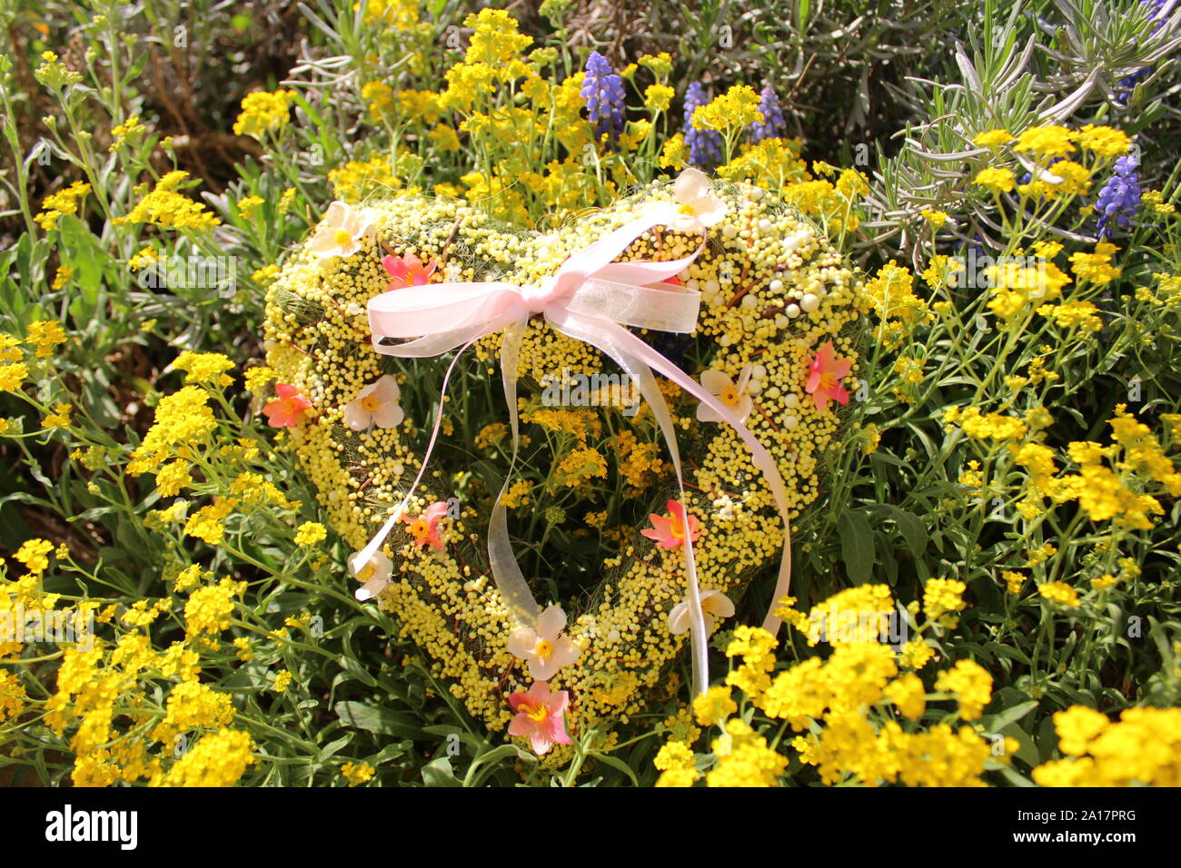 The picture shows a romantic heart in spring flowers Stock Photo - Alamy