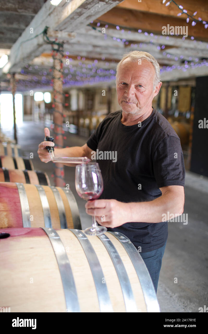 sommelier sampling wine from oak barrels using a pipette Stock Photo ...