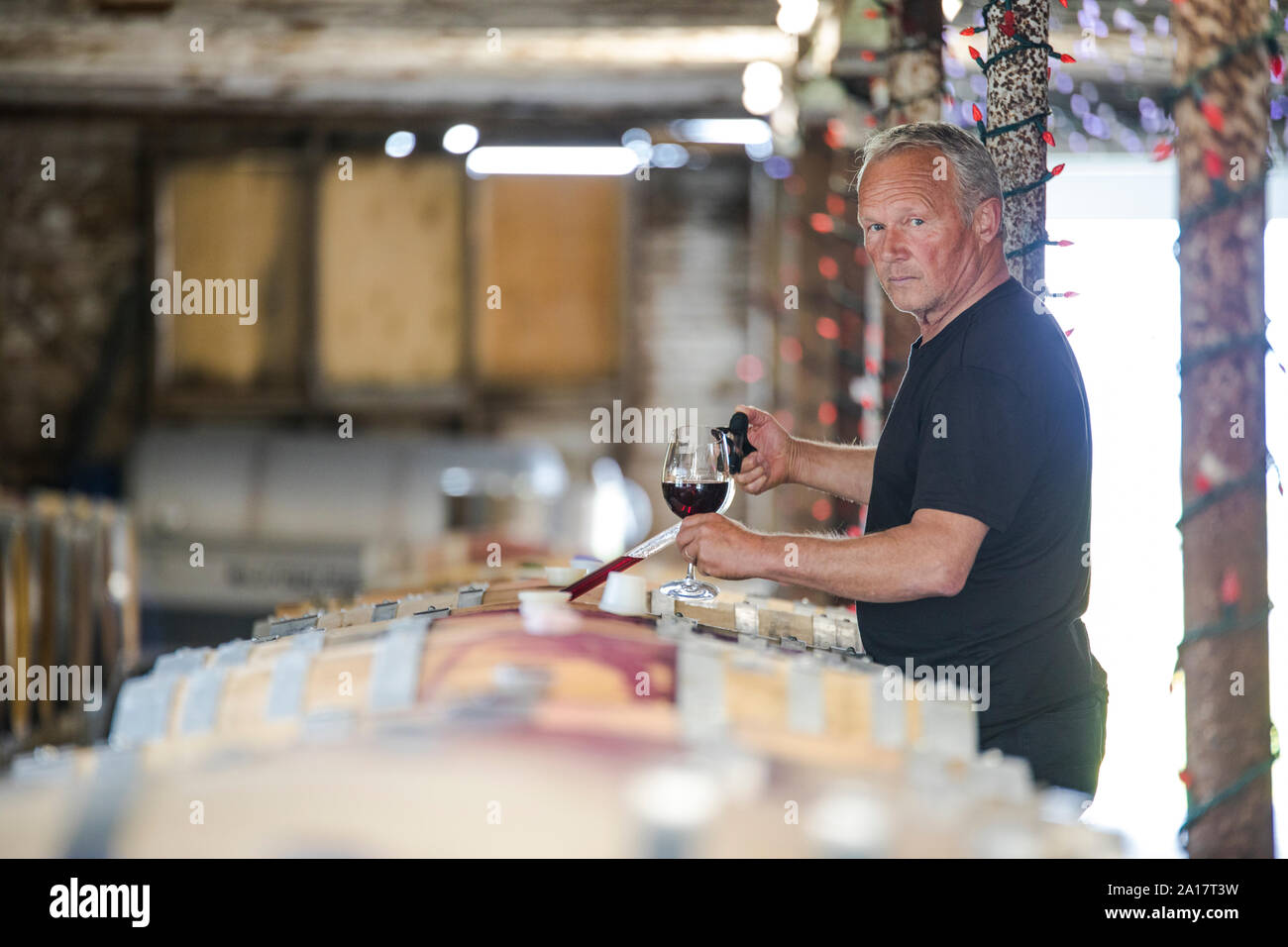 winemaker testing wine from an oak barrel using a pipette Stock Photo ...