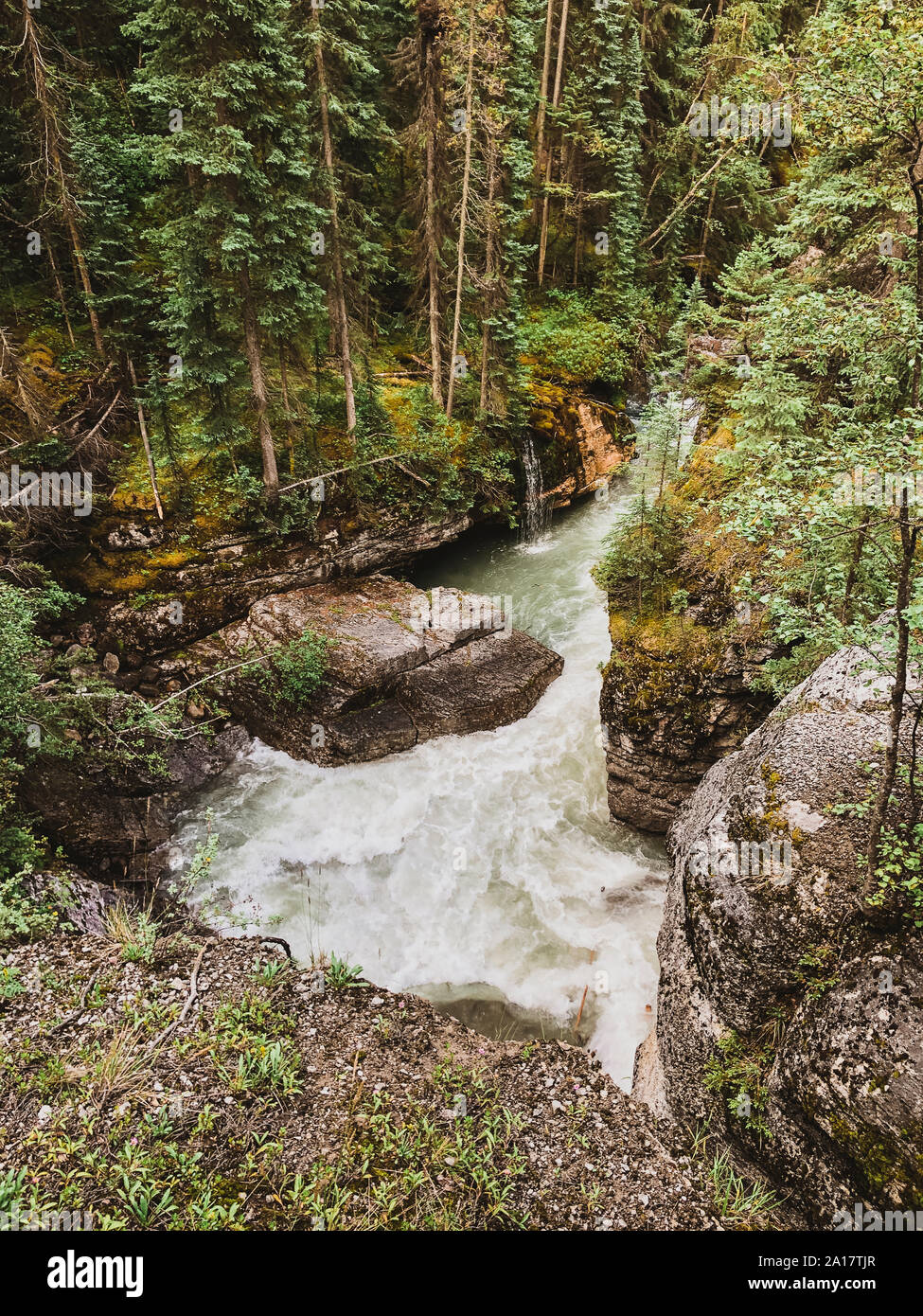 A river rushing through a canyon in the forest in Banff National park ...