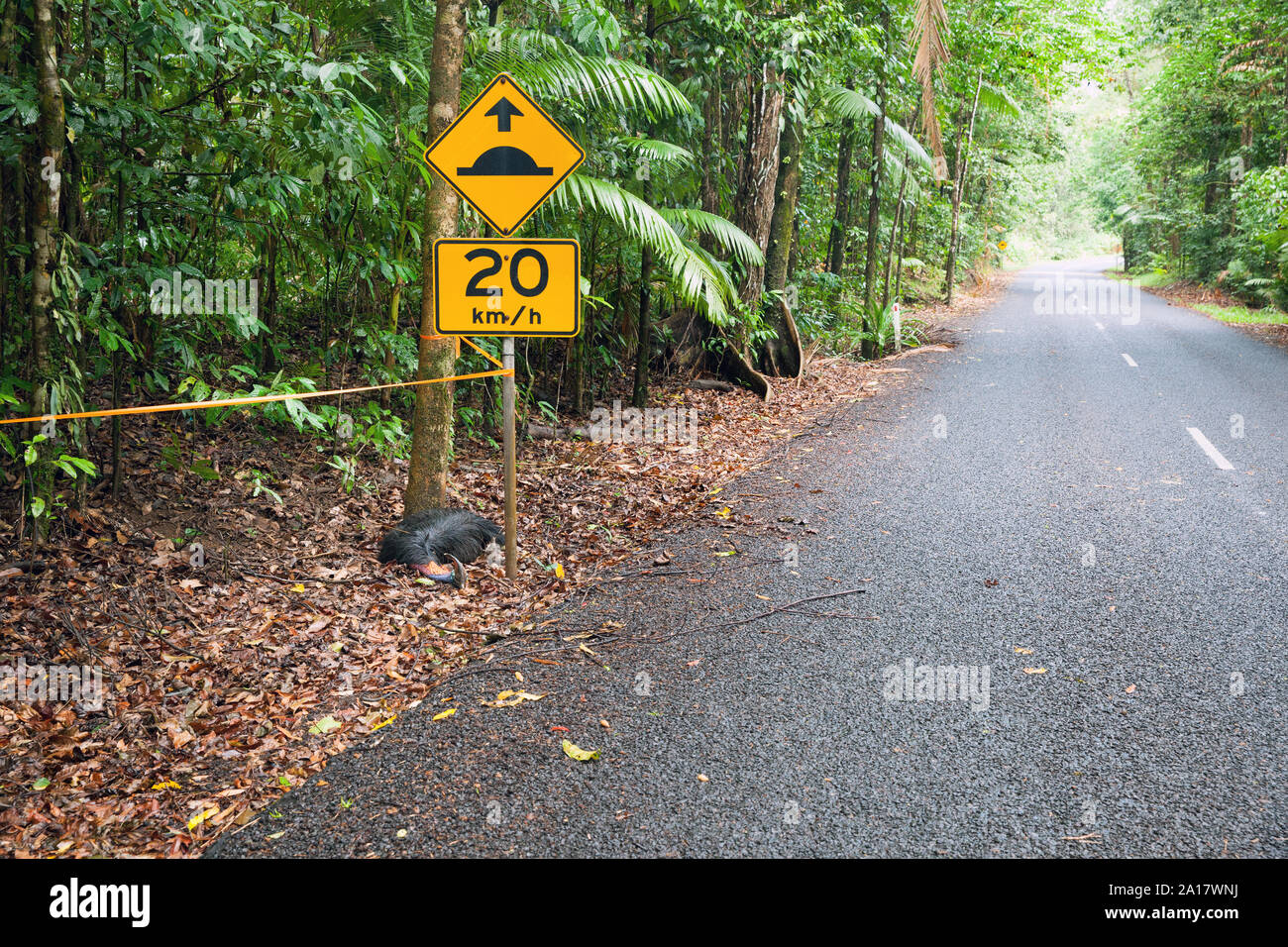 Cassowary road sign hi-res stock photography and images - Alamy