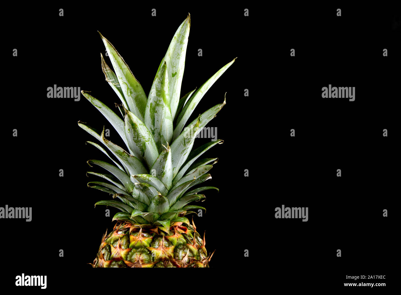 Pineapple crown hi-res stock photography and images - Alamy