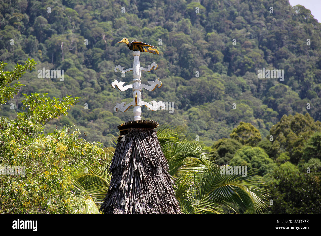 Wooden hornbill on roof of Bidayuh tribal house in Sarawak Borneo Stock ...