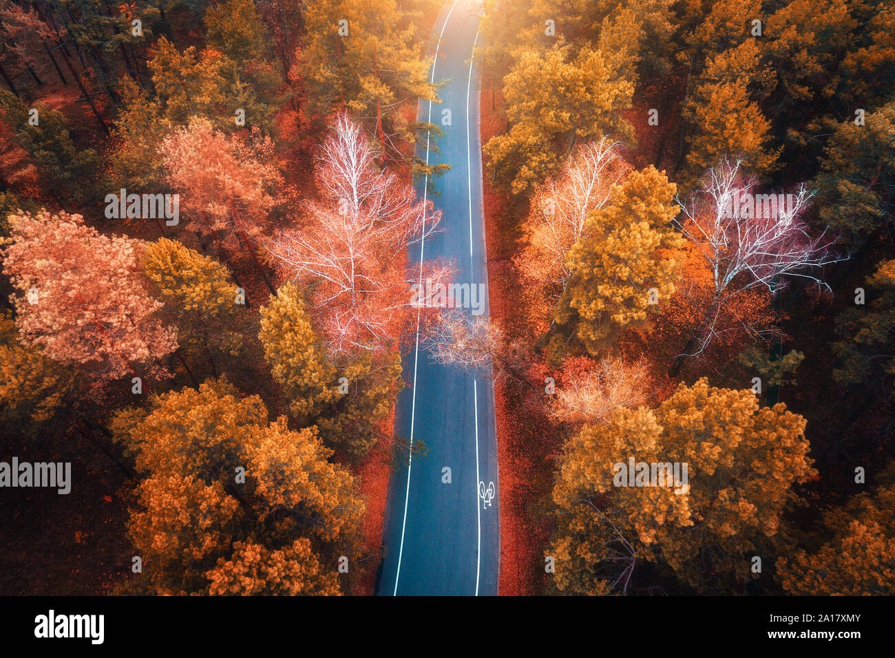 Above the roadway hi-res stock photography and images - Alamy