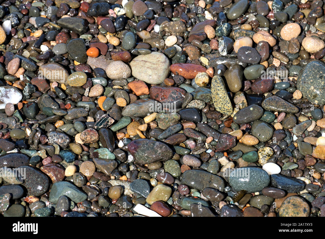 Wet pebbles and stones on a coastal beach Stock Photo - Alamy