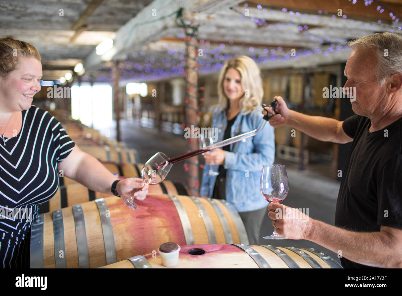 Vintner winemaker hi-res stock photography and images - Alamy