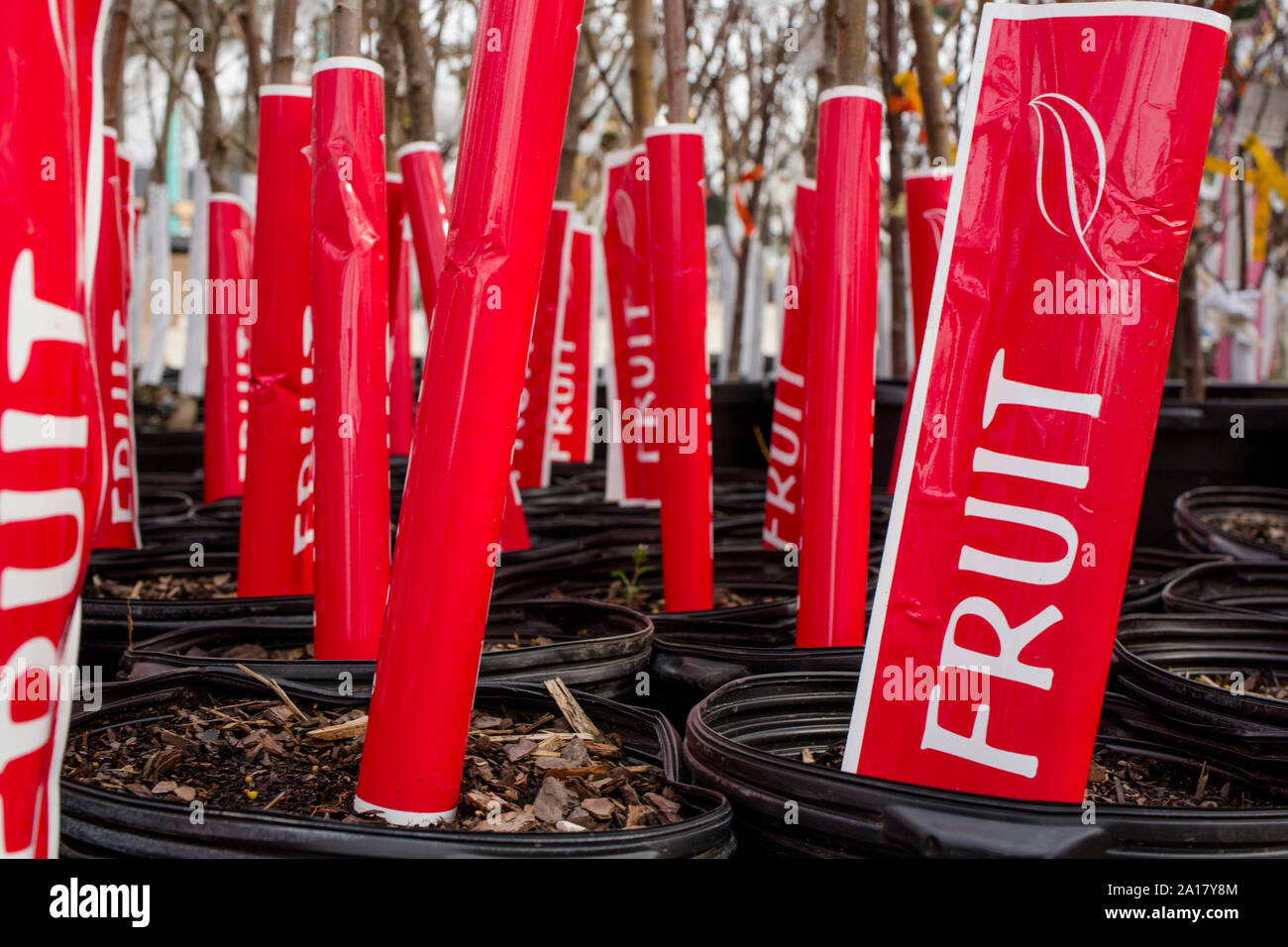 Nursery plant labels hi-res stock photography and images - Alamy