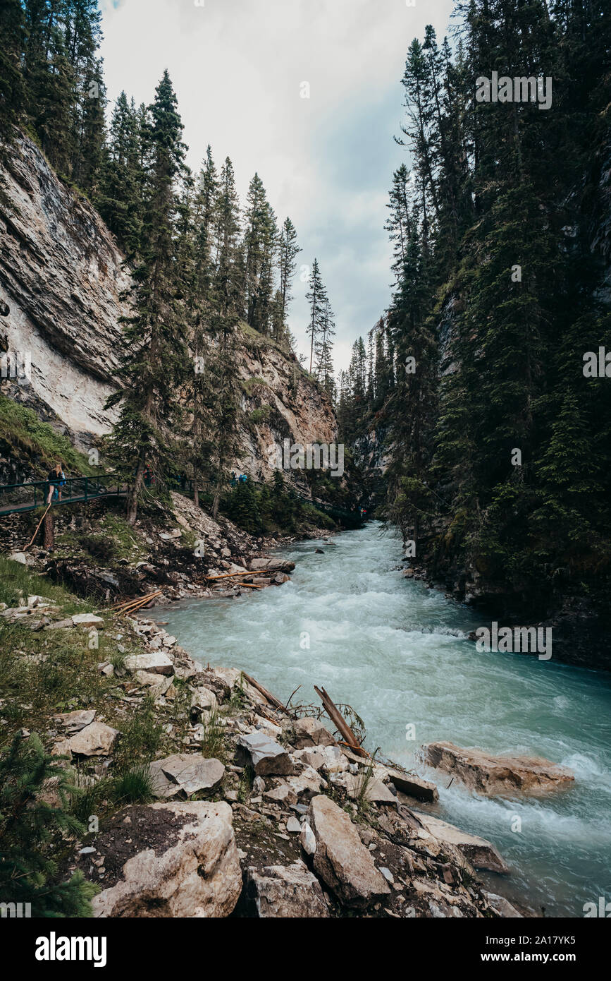 A river rushing through a canyon in the forest in Banff National park ...