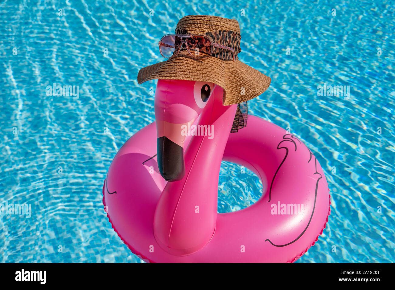 Pink flamingo inflatable with a sunhat in a swimming pool Stock Photo ...
